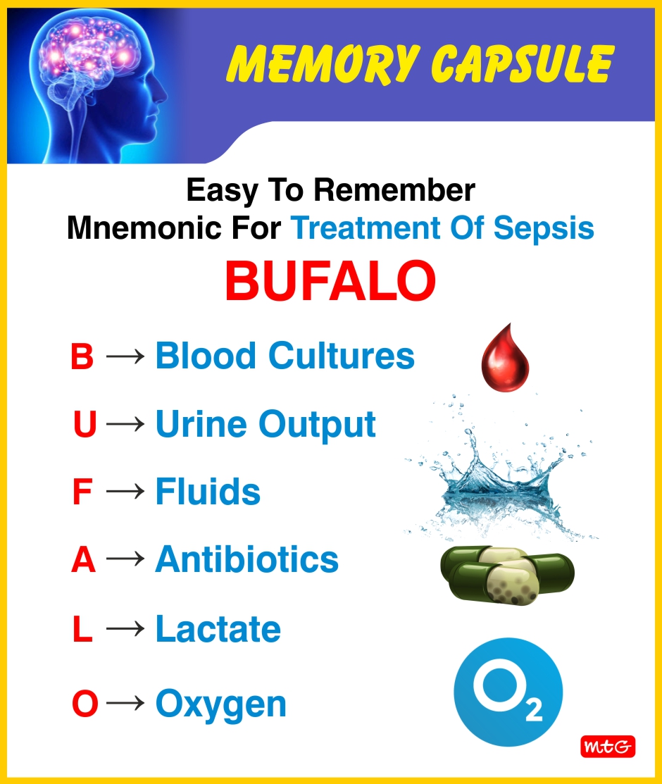 Memory Capsule32 - MTG Blog