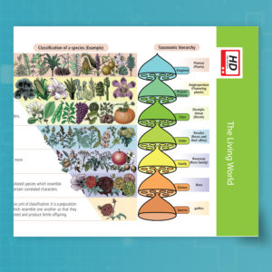 12 Things You Need to Know About the Newly Revised Objective NCERT at ...