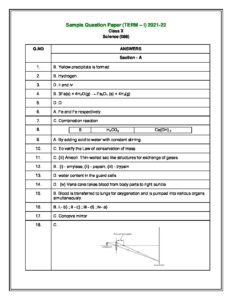 Science Class X Marking scheme for Exam 2021-22 term 1 - MTG Blog