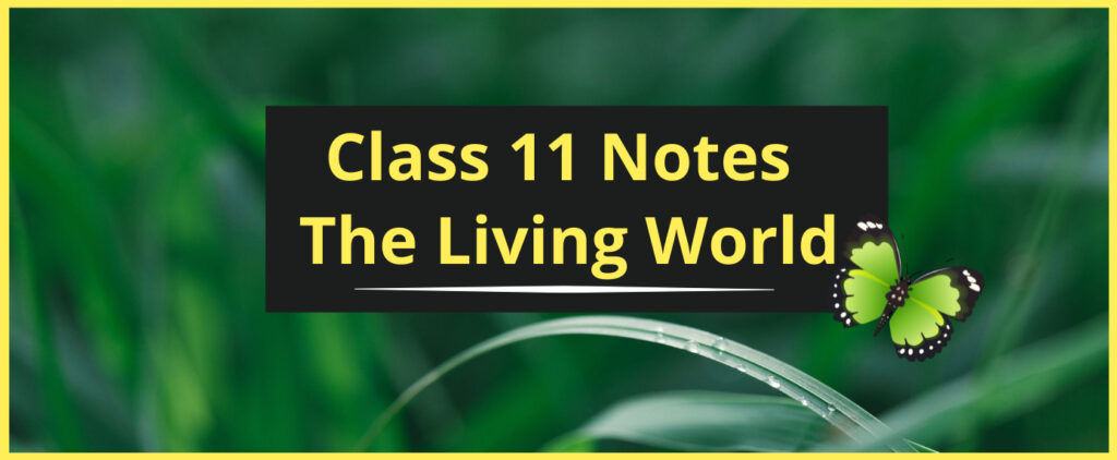 The Living World Class 11 Notes for NEET, CBSE - MTG Blog