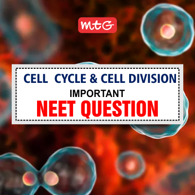 Cell Cycle and Cell Division NEET Questions and Answers - MTG Blog