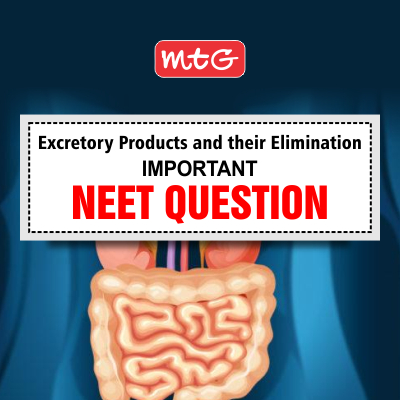 Excretory Products and Their Elimination NEET Questions and Answers
