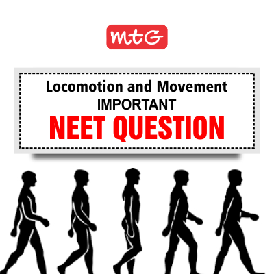 Locomotion and Movement NEET Questions - MTG Blog