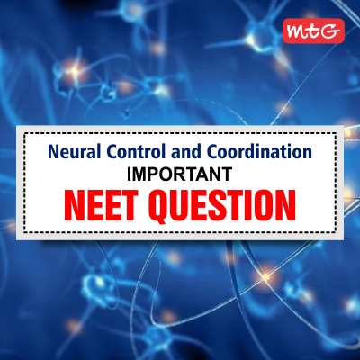 Neural Control and Coordination NEET Questions and Answers