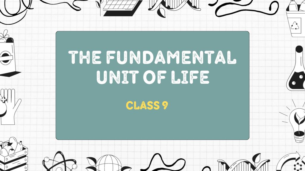 The Fundamental Unit of Life Class 9 MCQ - MTG Blog